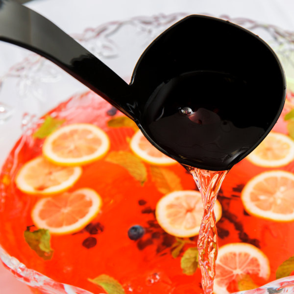 5 oz. Black Plastic Punch / Serving Disposable Ladle 48 pcs/cs – Evolve ...